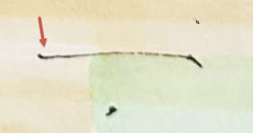 Content rejected. What could be the reason? - Adobe Community - 12952571