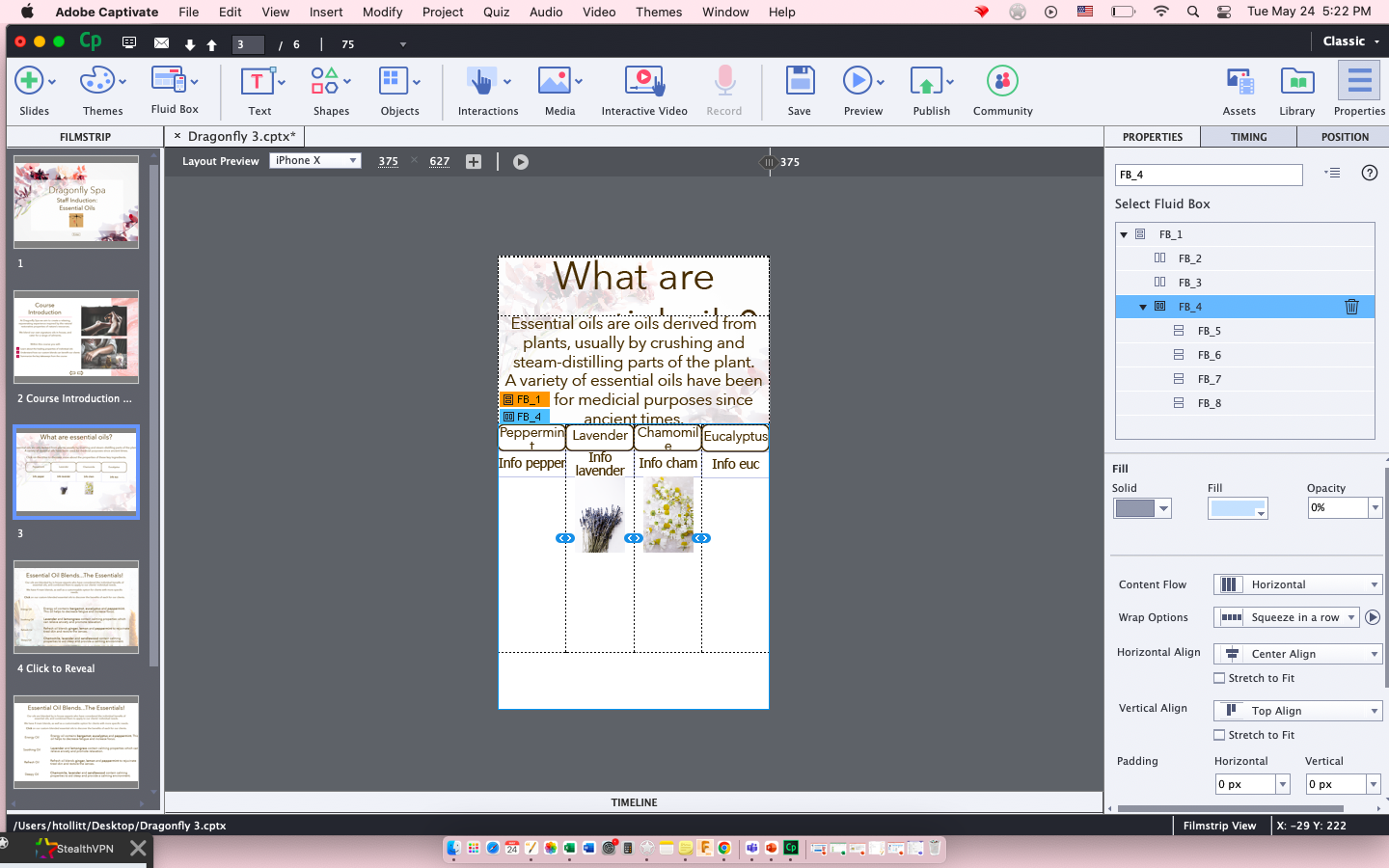 Text Not Transitioning Automatically on Layout Pre... - Adobe Product ...