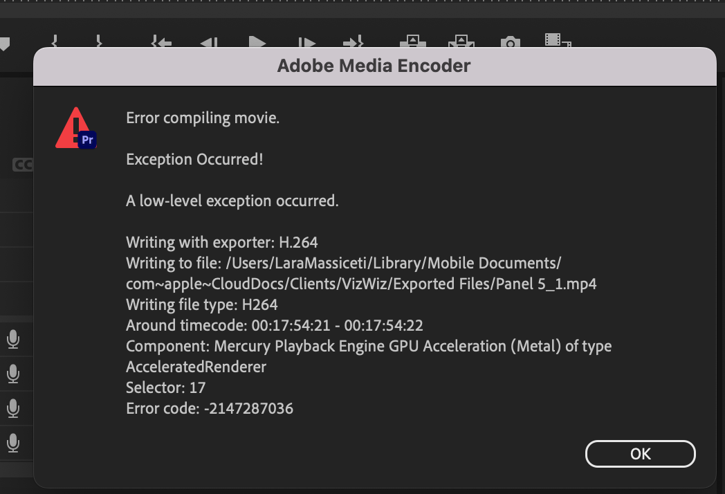 Exception Occurred! Error compiling movie - Adobe Support Community ...