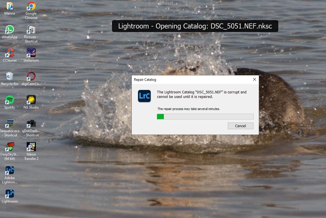 Solved: Application won't open - Adobe Product Community - 12963187