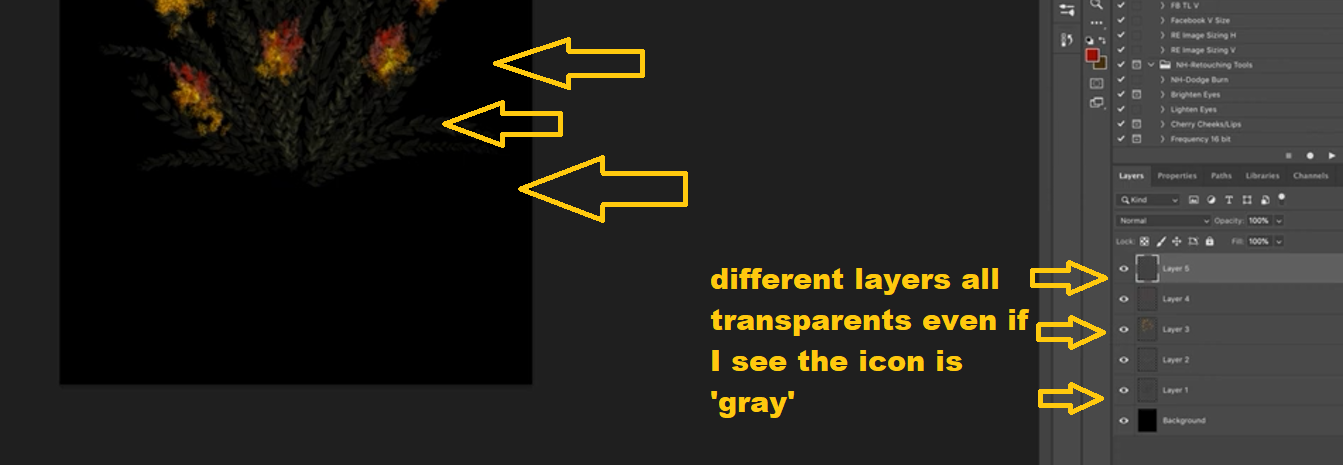 Transparent layers that looks 'gray'? - Adobe Community - 12976216
