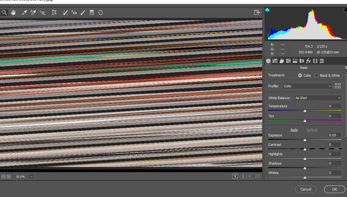 Camera Raw distorted image issue - Photoshop - Adobe Community - 10828488