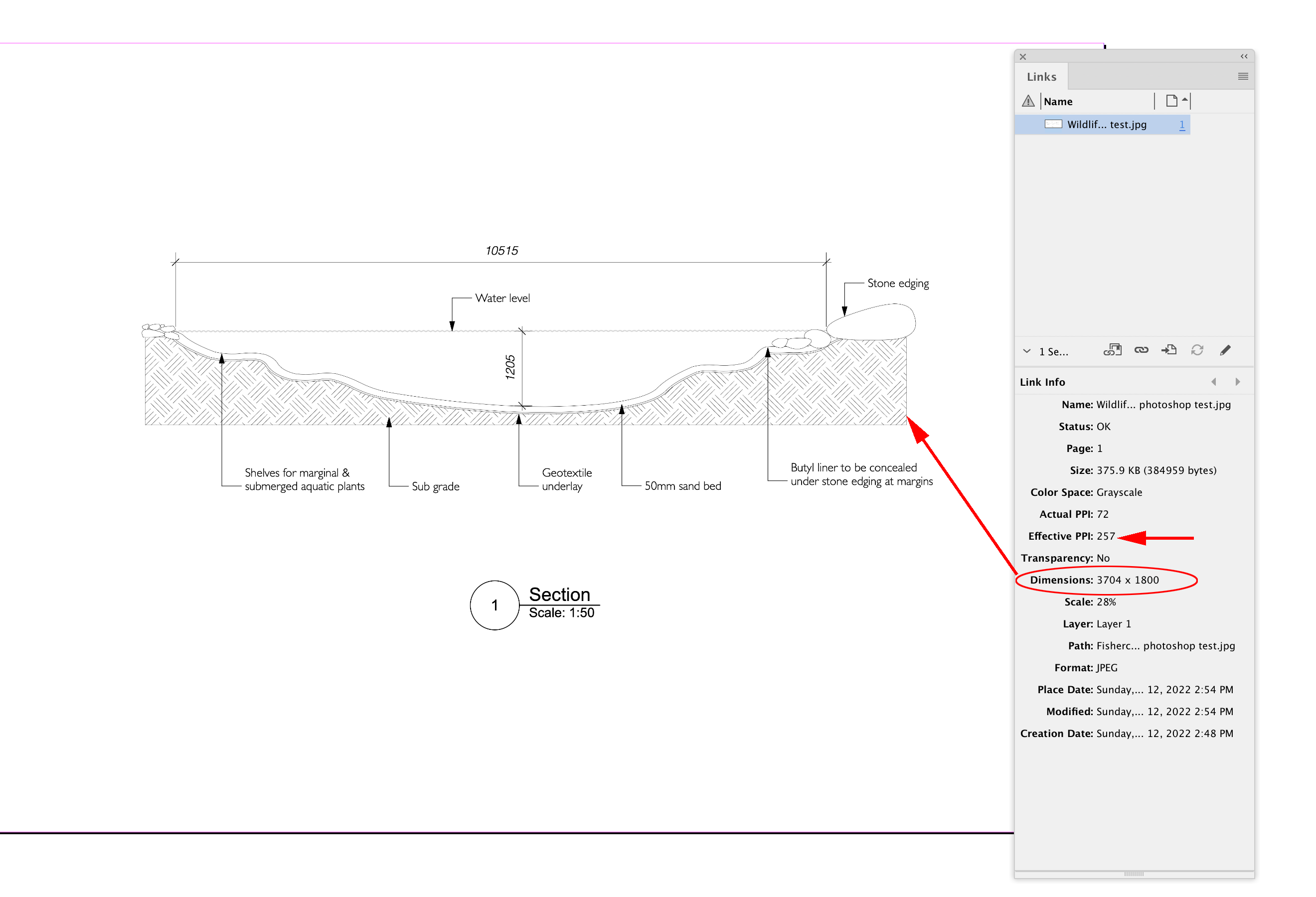 Solved: InDesign PDF shows images blurred - Adobe Product Community ...