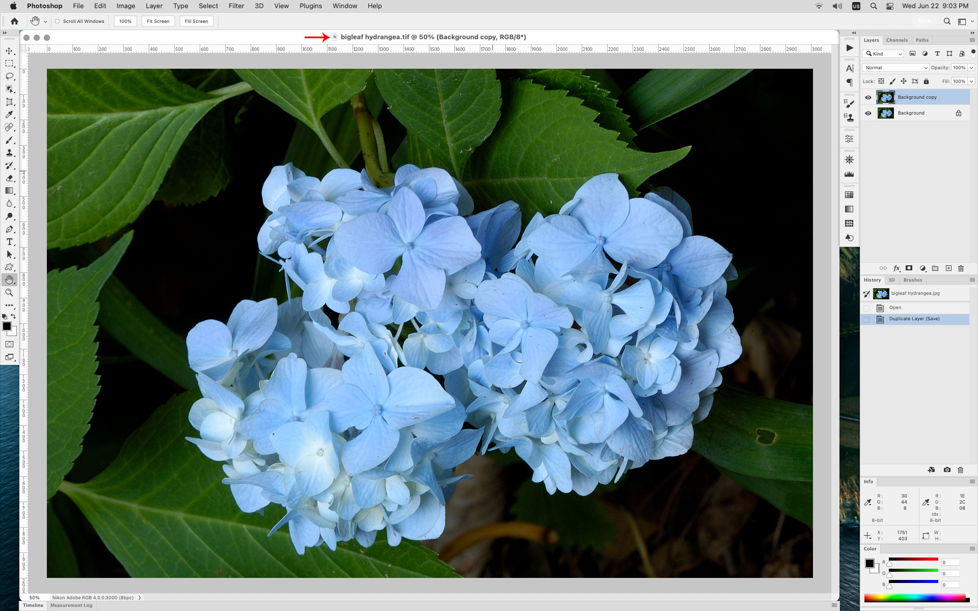 macOS difficult missing functionality: Missing ico... - Adobe Product ...