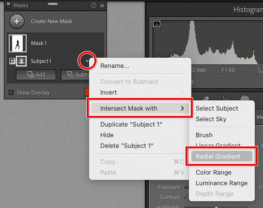 Solved: Can I do a radial mask with a subject mask active ... - Adobe ...