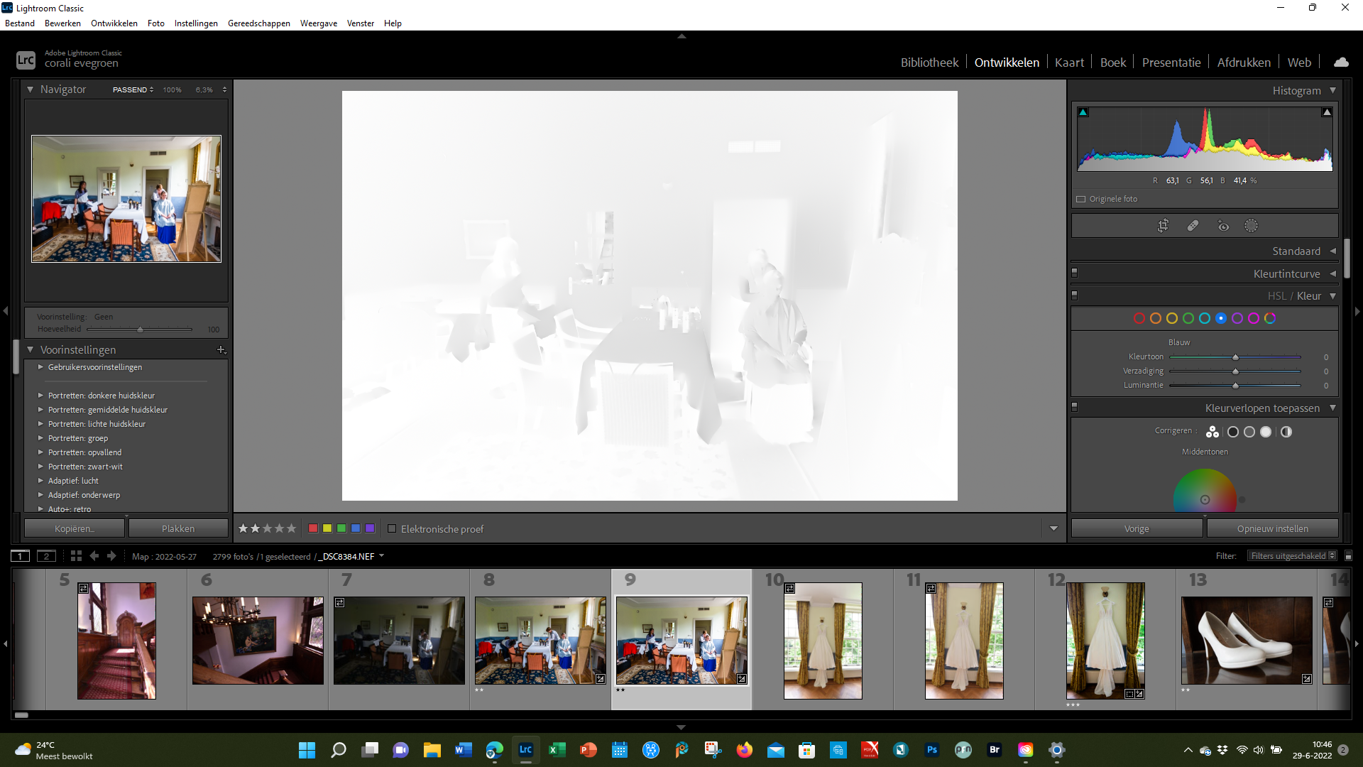 Solved: P: Gray / Negative image display in the Develop mo... - Adobe ...