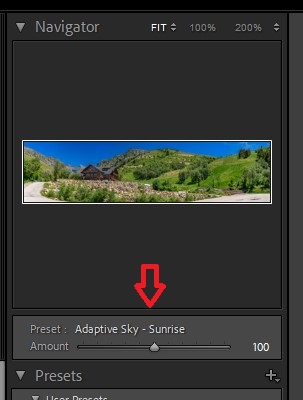 Preset amount slider - Adobe Community - 13041159