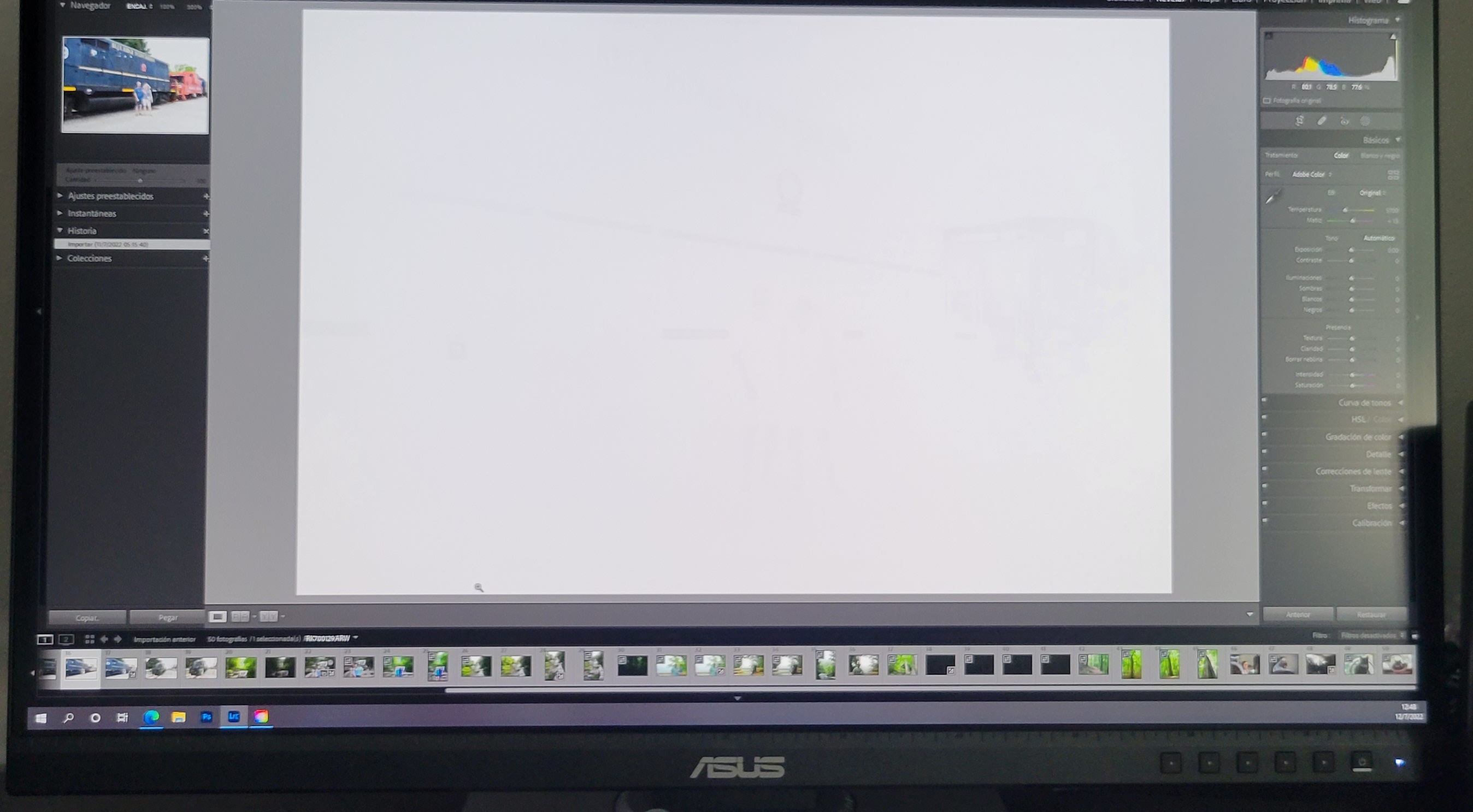 Solved: P: Gray / Negative image display in the Develop mo... - Adobe ...