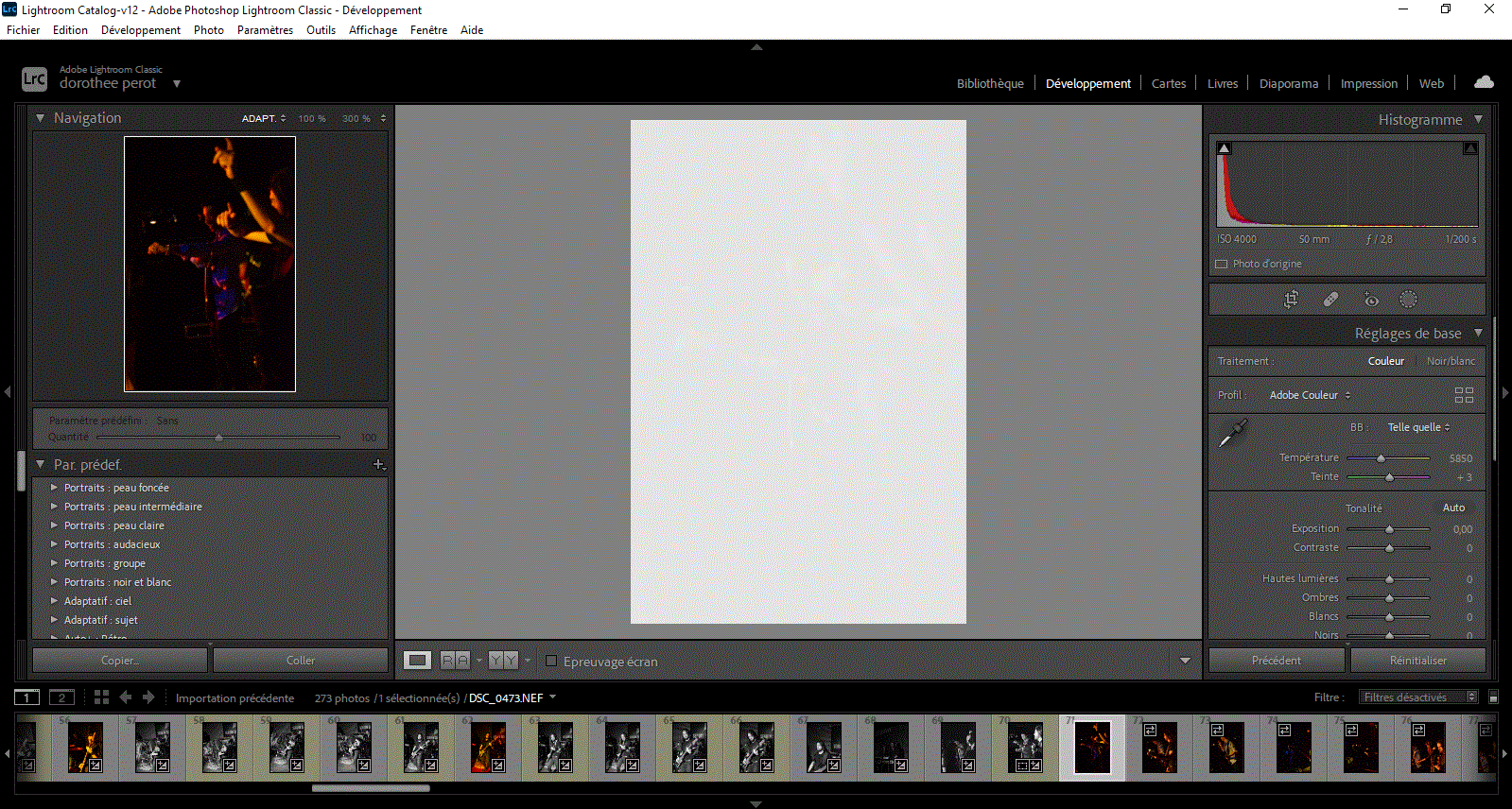 Solved: P: Gray / Negative image display in the Develop mo... - Adobe ...