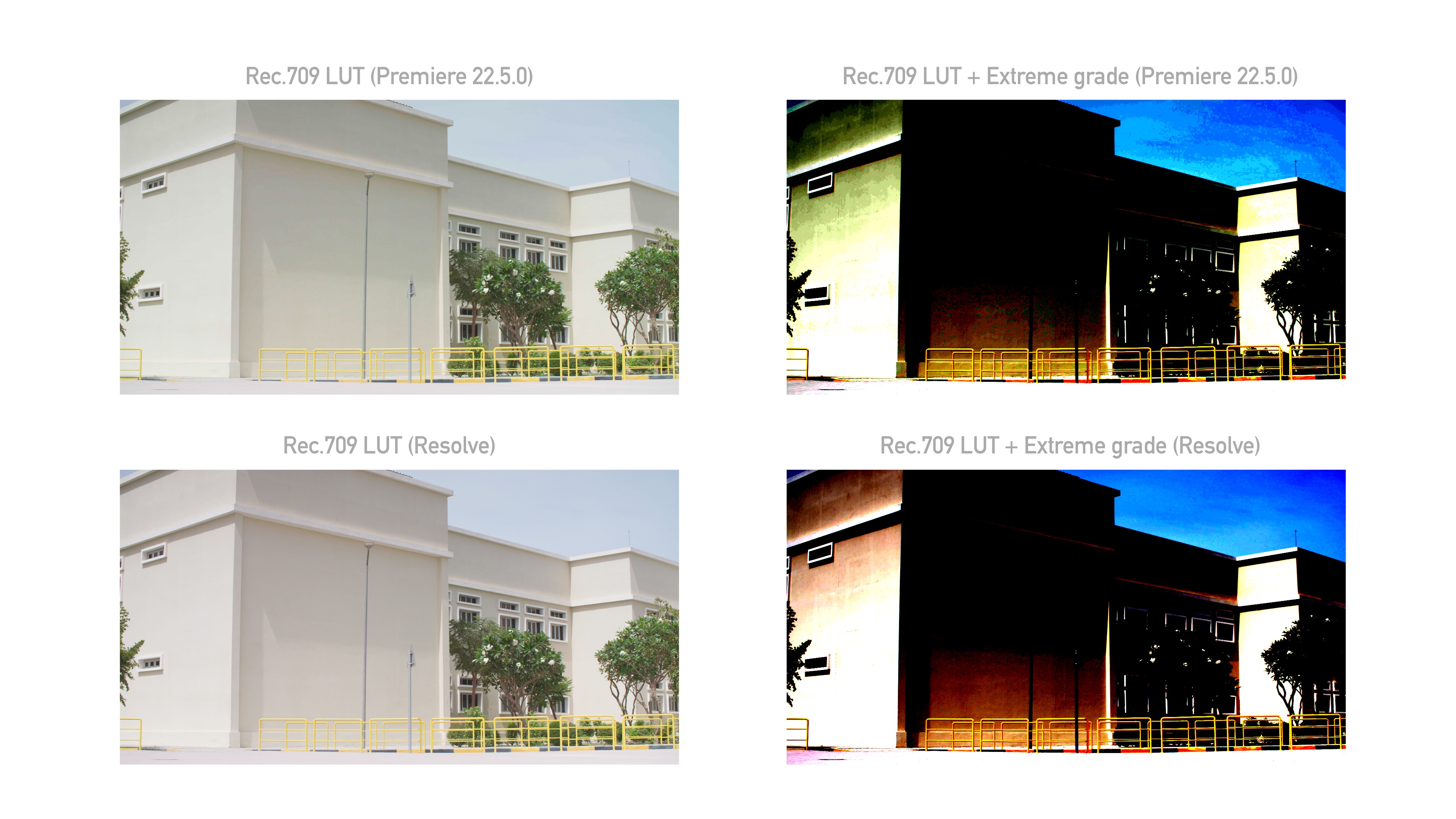 ProRes output is limited to 8-bit on Mac - Adobe Community - 13078555