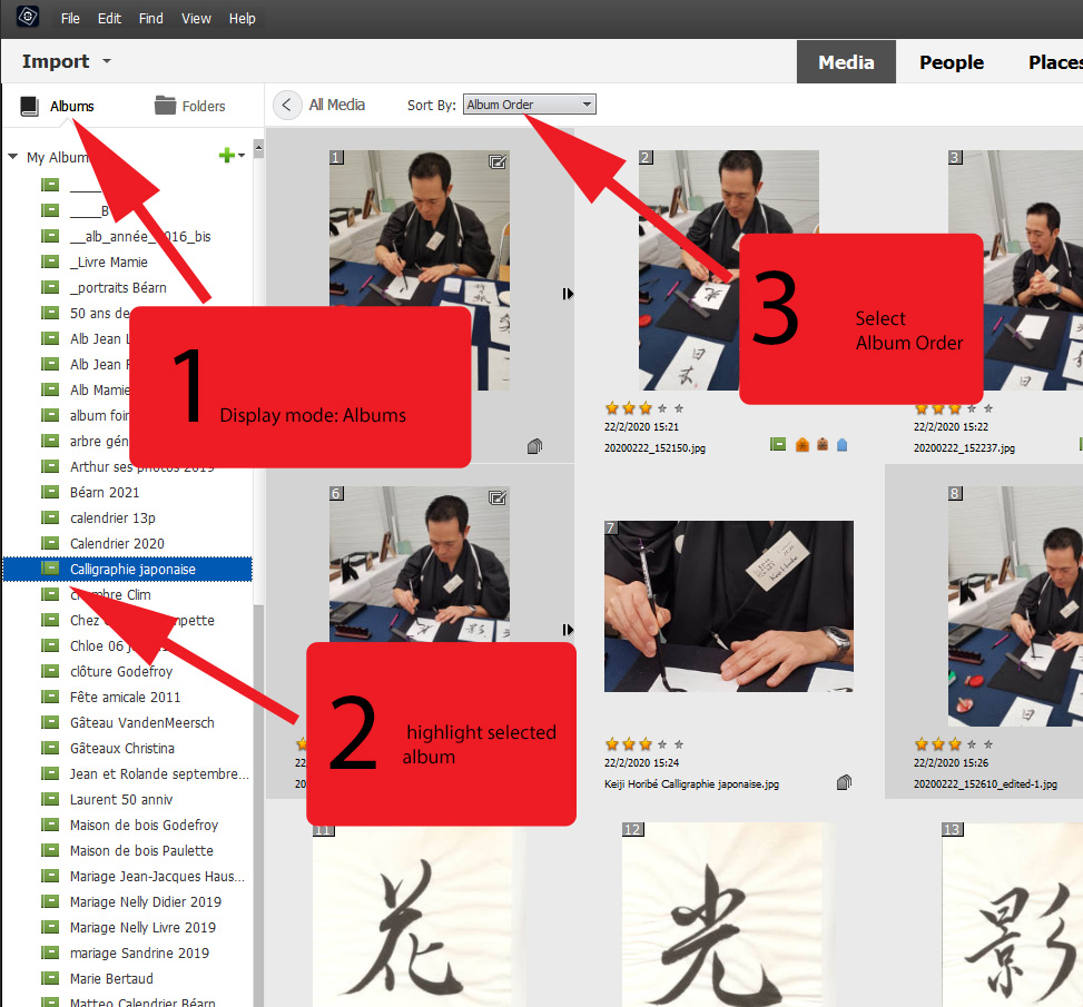 Solved: PSE2021 Album - Adobe Community - 13090920