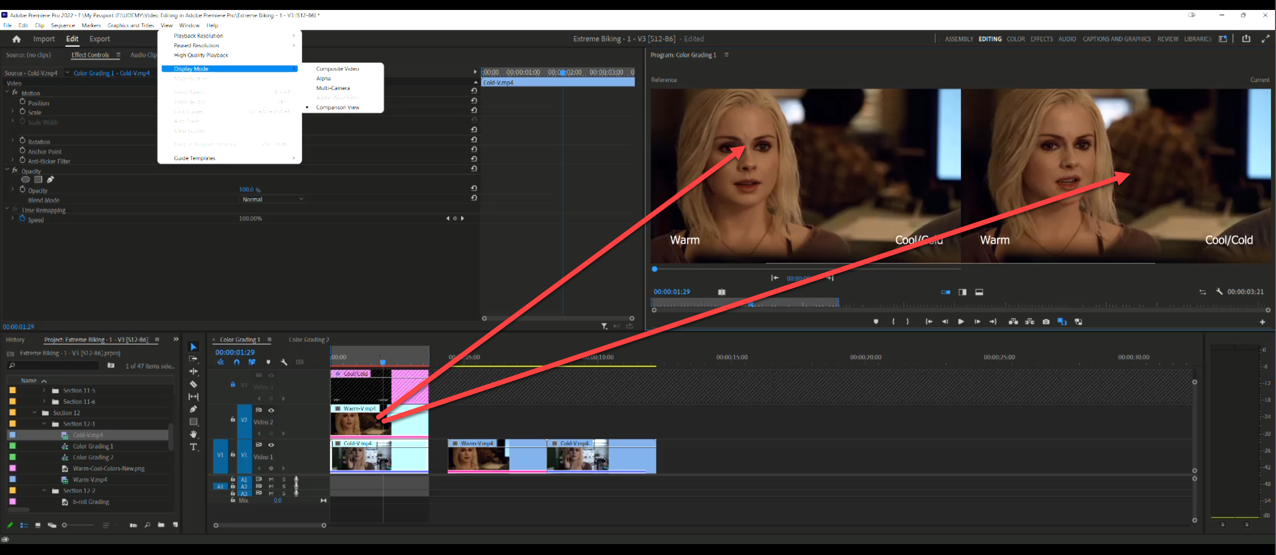 Stills side by side in program monitor - Adobe Community - 13092265
