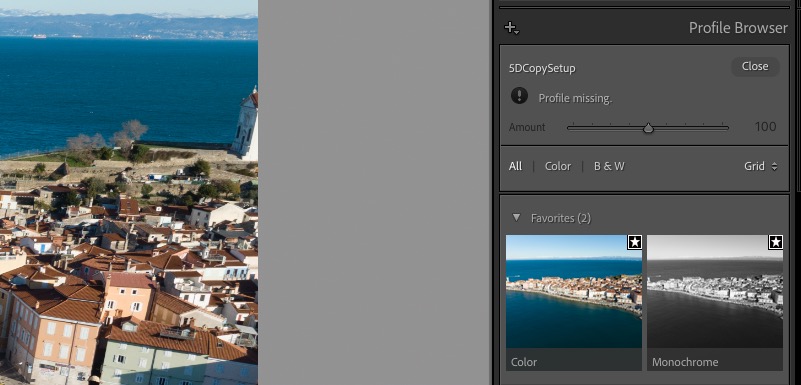 Solved: DNG export to JPG changes colors - Page 2 - Adobe Community ...