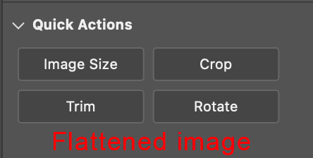 Quick actions panel - is it possible to add more q... - Adobe Community - 13105691