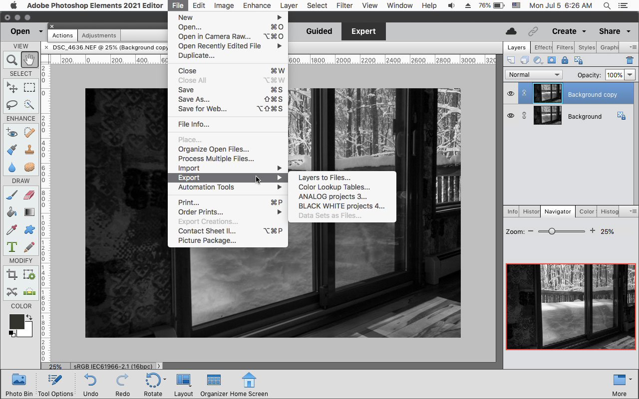 Solved: Export Button Is Grayed Out. - Adobe Product Community - 9970987