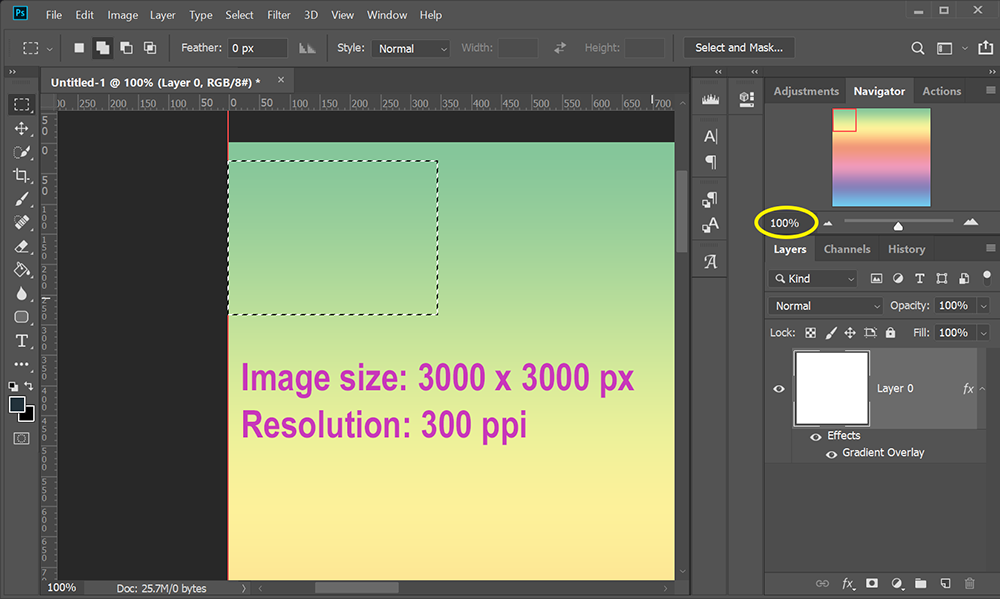 Solved: Marquee tool selection border 1 pixel - Adobe Community - 13095368