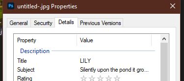 Solved: Adding captions to images - Adobe Product Community - 13109976