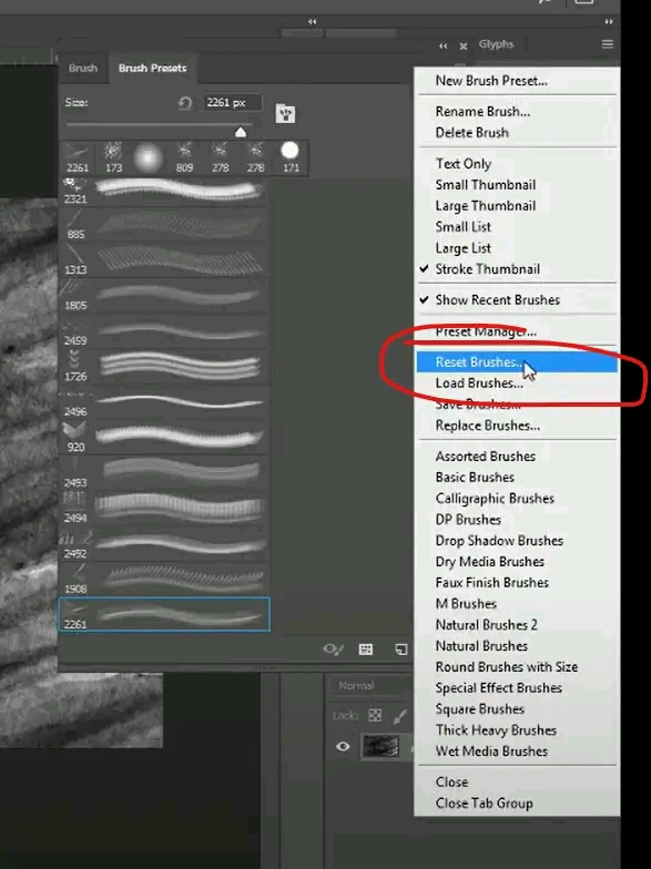 Can't Find Reset Brush Option in Brush Setting Pho... - Adobe Community ...