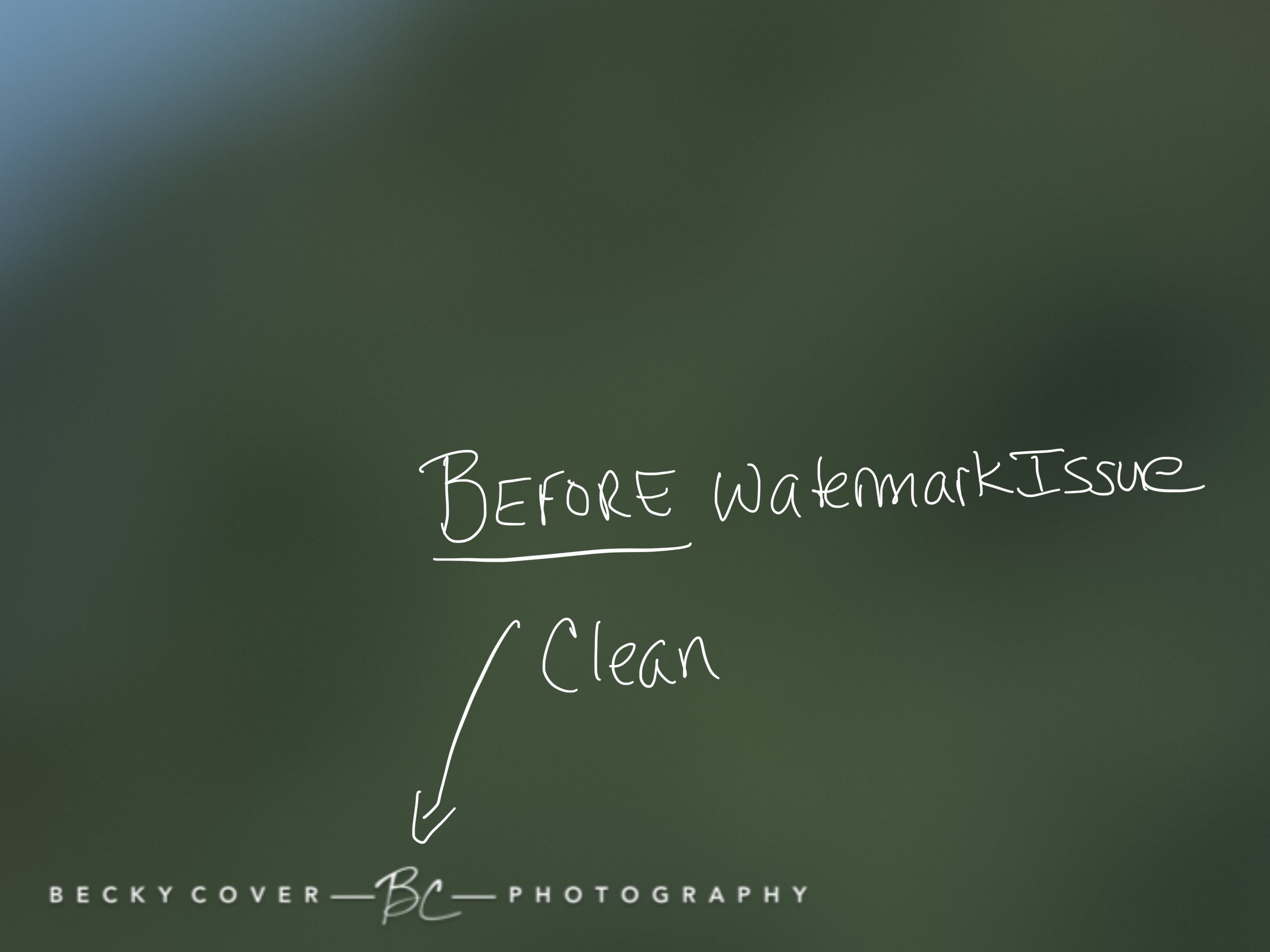 P: Graphical Watermarks are rendering in low resol... - Adobe Community ...