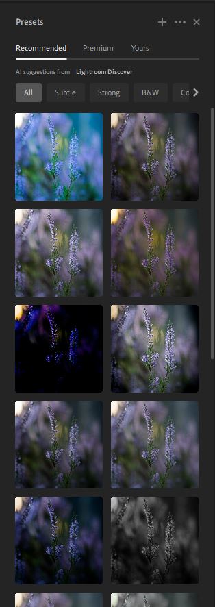 P: Preset thumbnails for Lightroom Desktop - Adobe Product Community ...