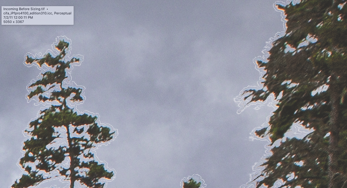 WhIte Lines around mask on trees - Adobe Community - 13153976