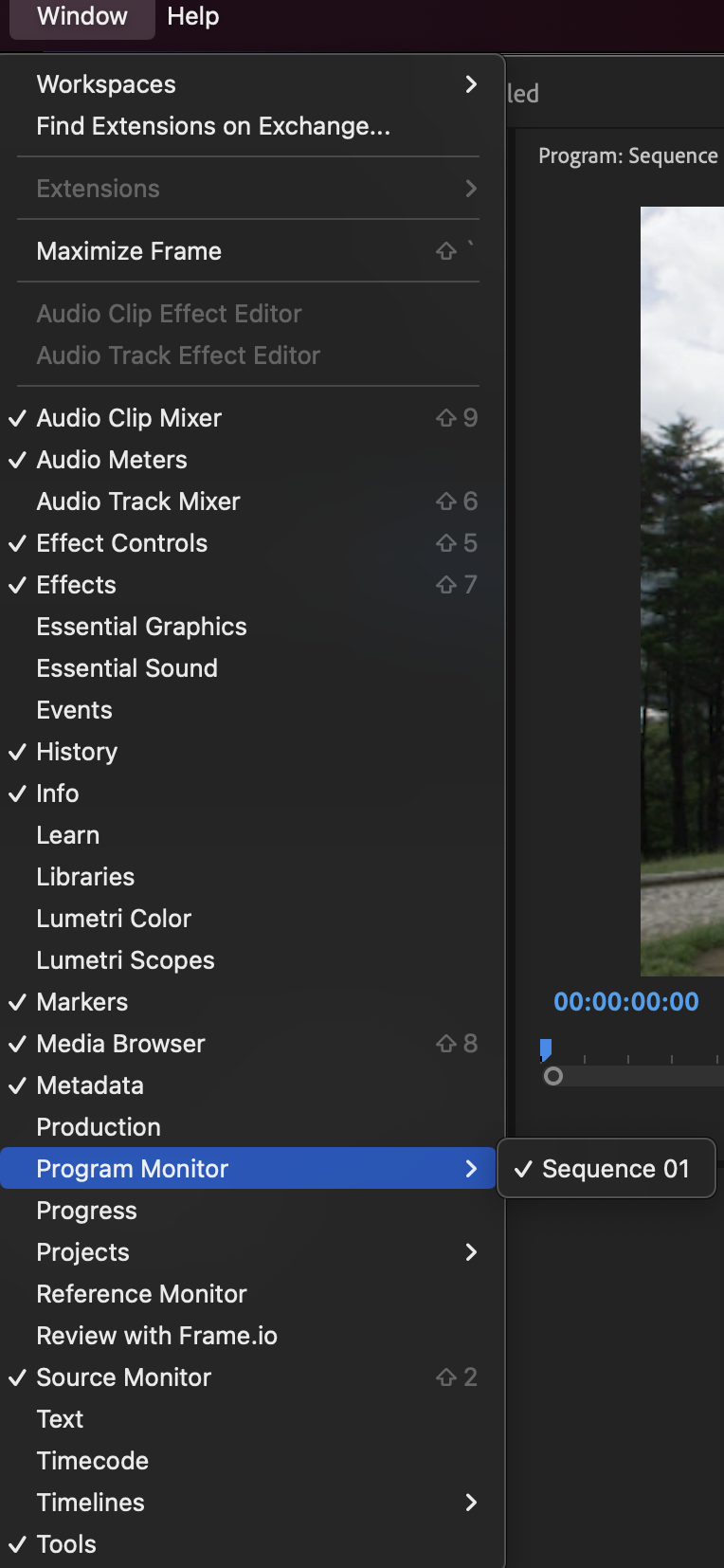 Solved: Silly error with program monitor - Adobe Community - 13167769