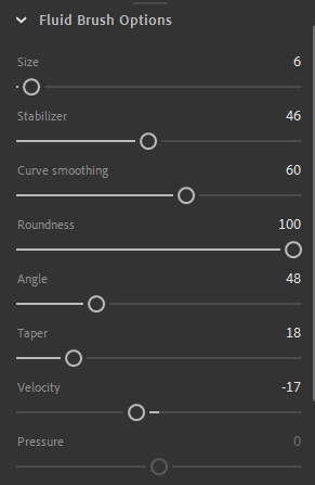 fluid brush tool problem - Adobe Community - 13184900