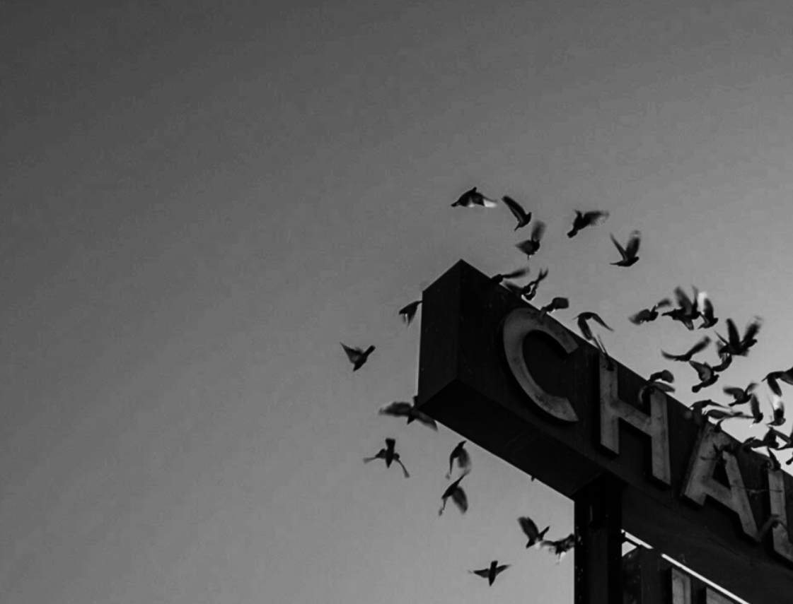 Ripple effect in photos/bad resolution - Adobe Community - 13186939