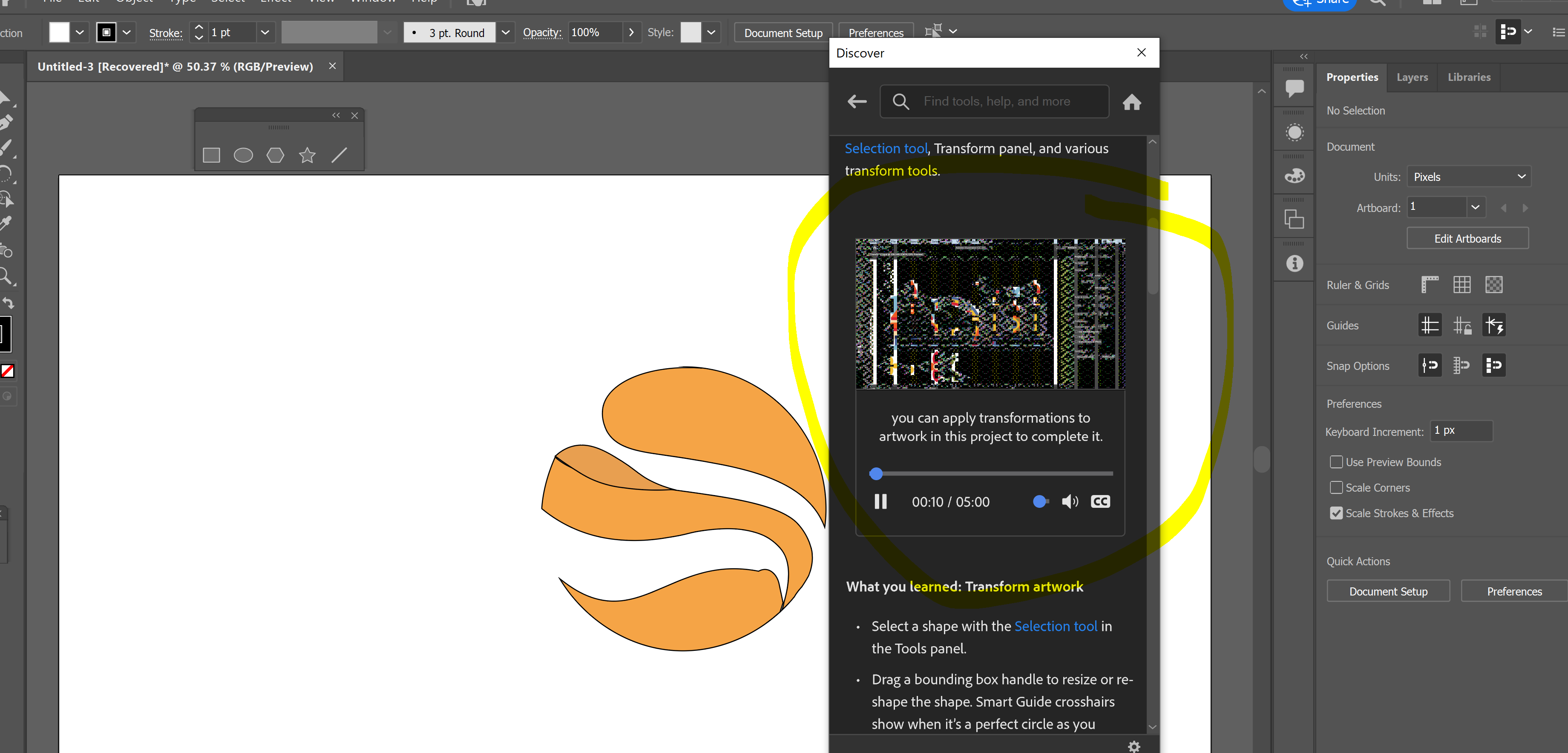 Bounding Box Appearance Issue - Adobe Community - 13190248