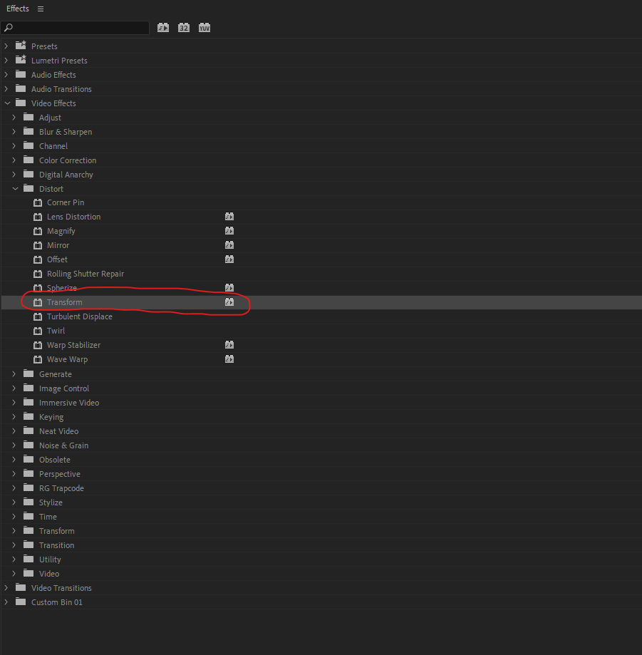 More Anamorphic Pixel Aspect Ratios please! - Adobe Product Community ...