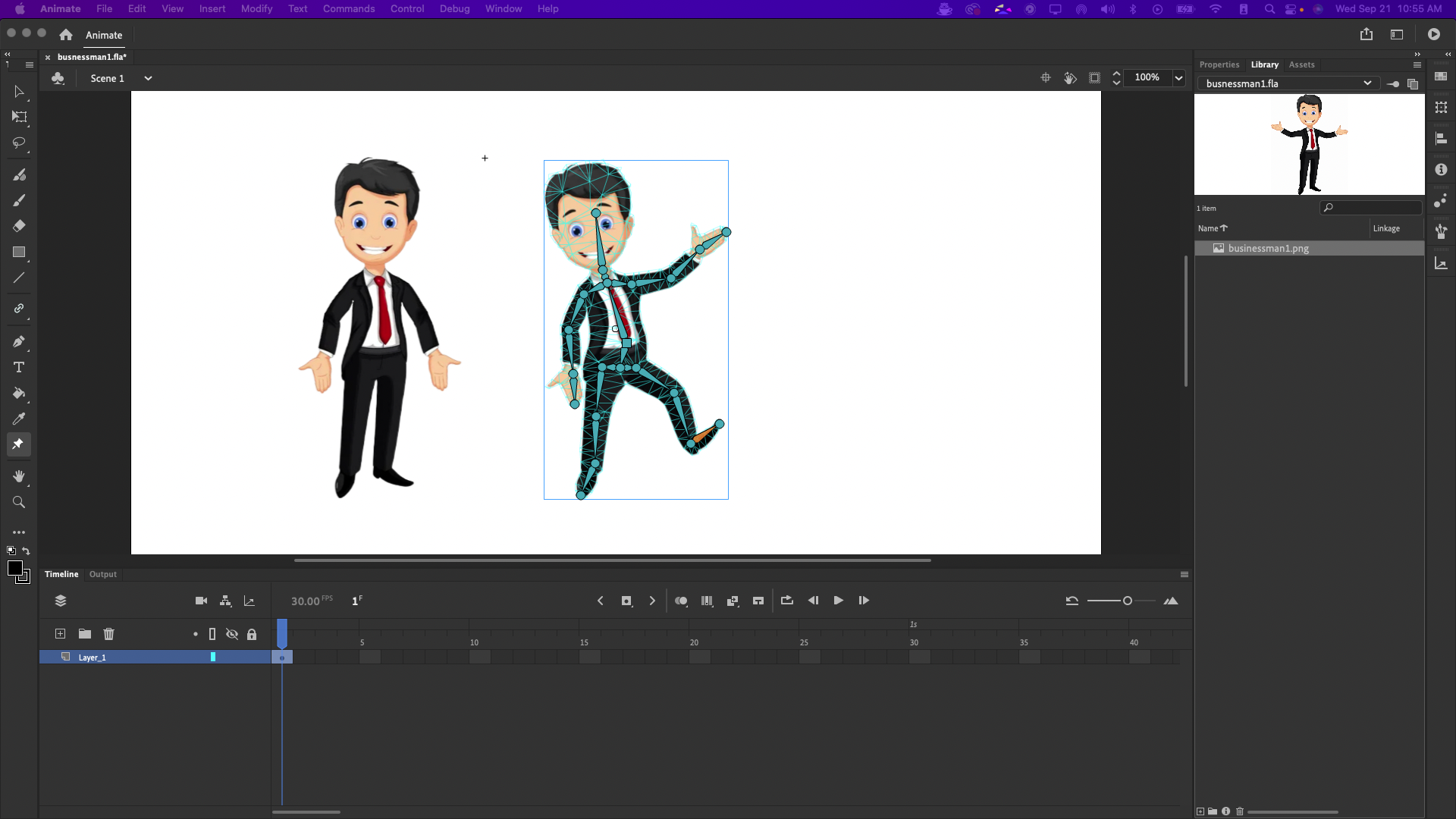 Solved: Issues with image loss when using bone or asset wa... - Adobe ...