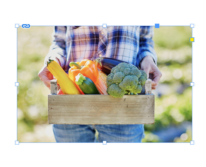Solved: After update 17.4, image crop tool doesn't work - Adobe Product ...