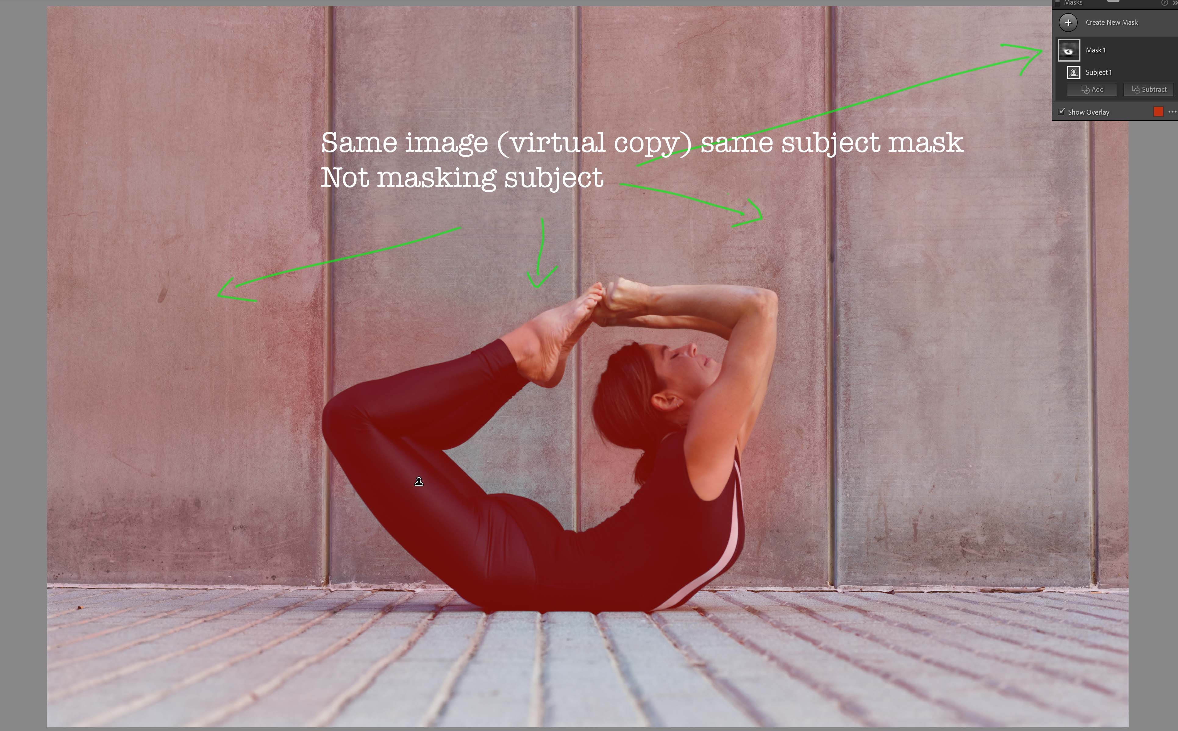 Subject mask not selecting subject - Adobe Community - 13269467