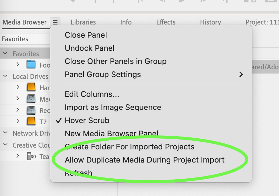 Solved: Best way to insert MOGRT into sequence? (Are docs... - Adobe Product Community - 13274031