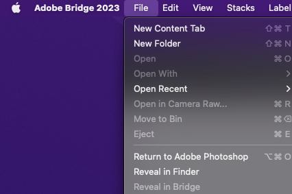 Solved: Is it possible to open more than one instance of B... - Page 2 - Adobe Community - 9704534