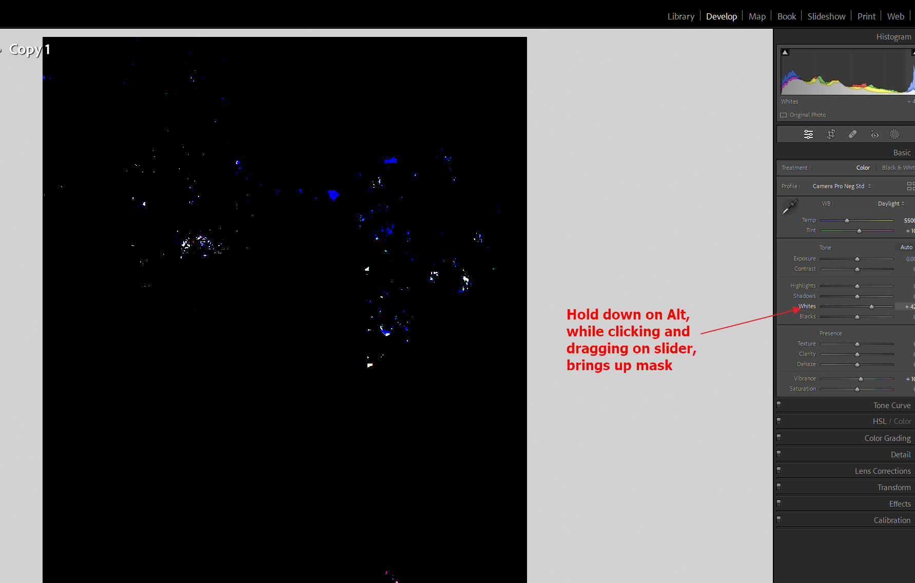 P: (Masking)Option/Alt key modifier in Mask edit s... - Adobe Support Community - 13281176