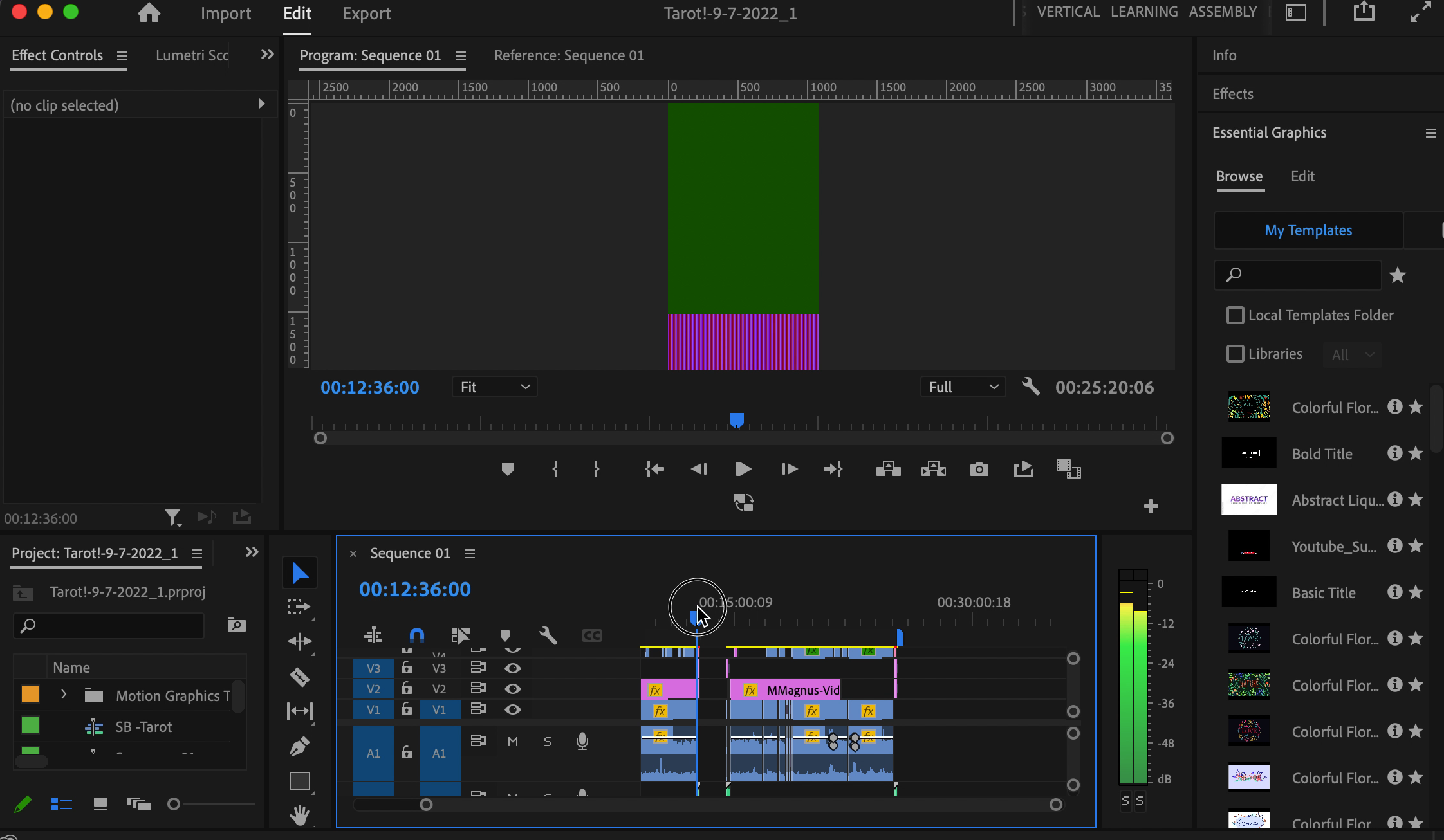 Premier Pro, All my videos and images are showing ... - Adobe Community ...