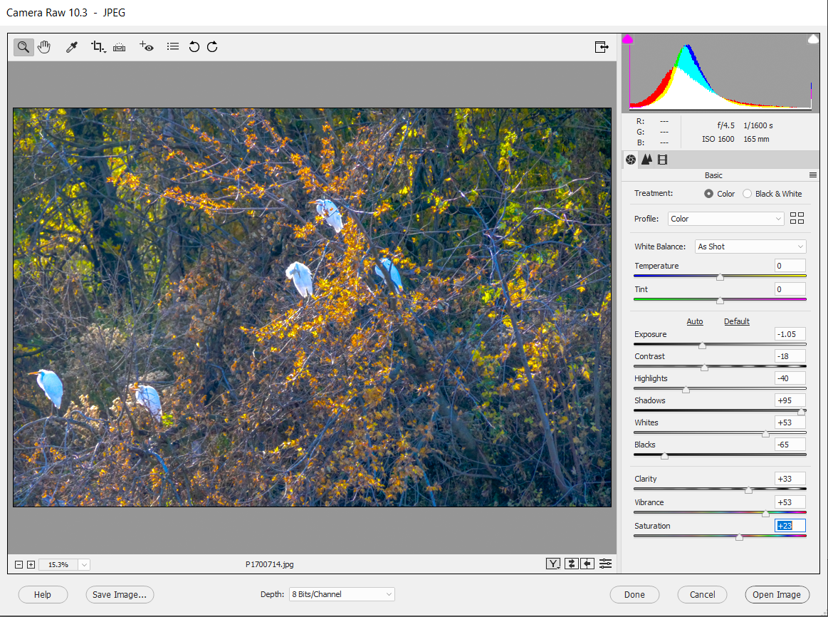 Solved: Photos taken with too high of ISO and or to slow o... - Adobe ...