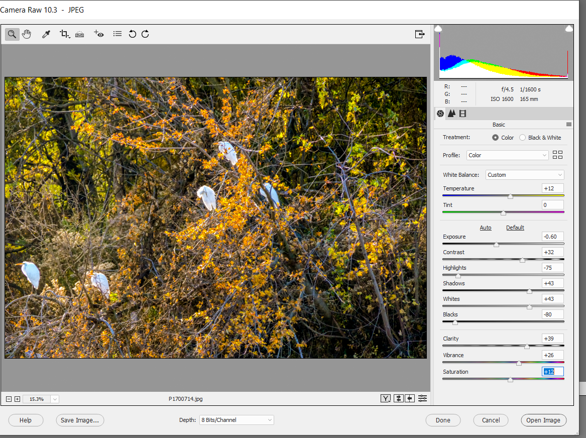 Solved: Photos taken with too high of ISO and or to slow o... - Adobe ...