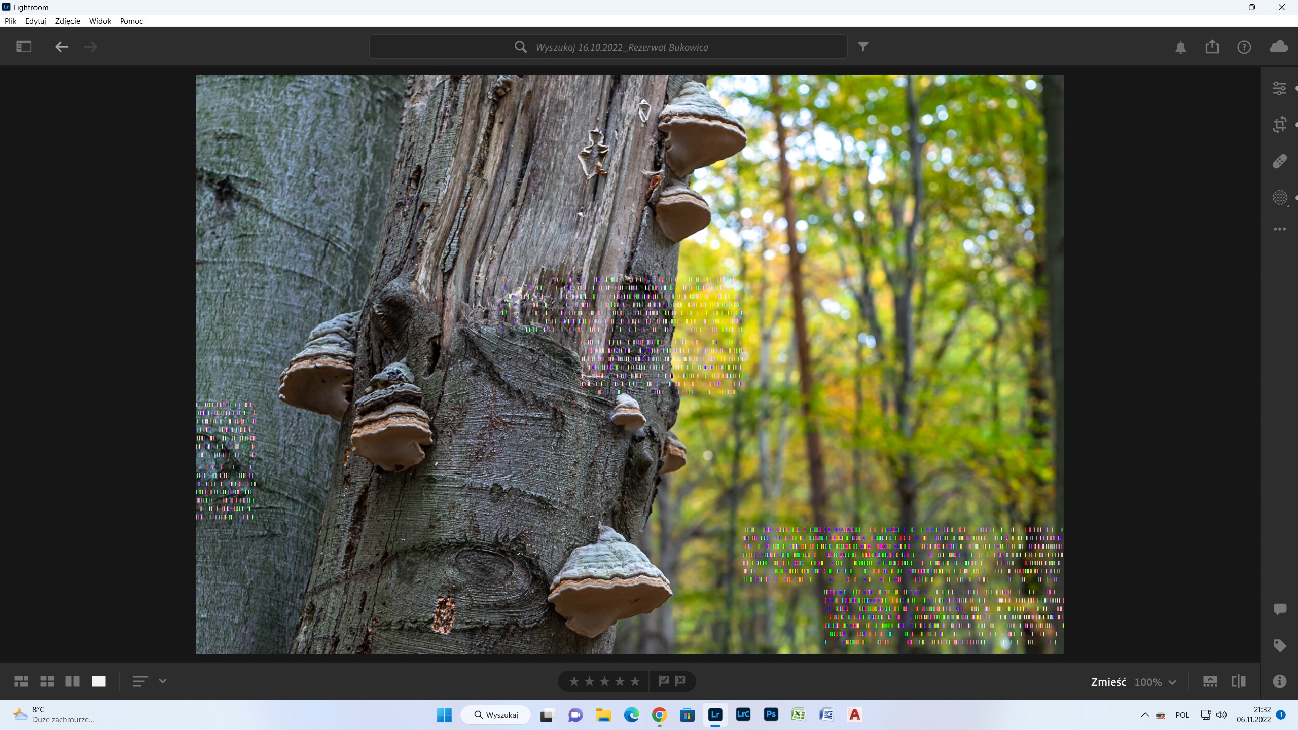 Unknown graphic issues on edited NEfs - Adobe Community - 13328590