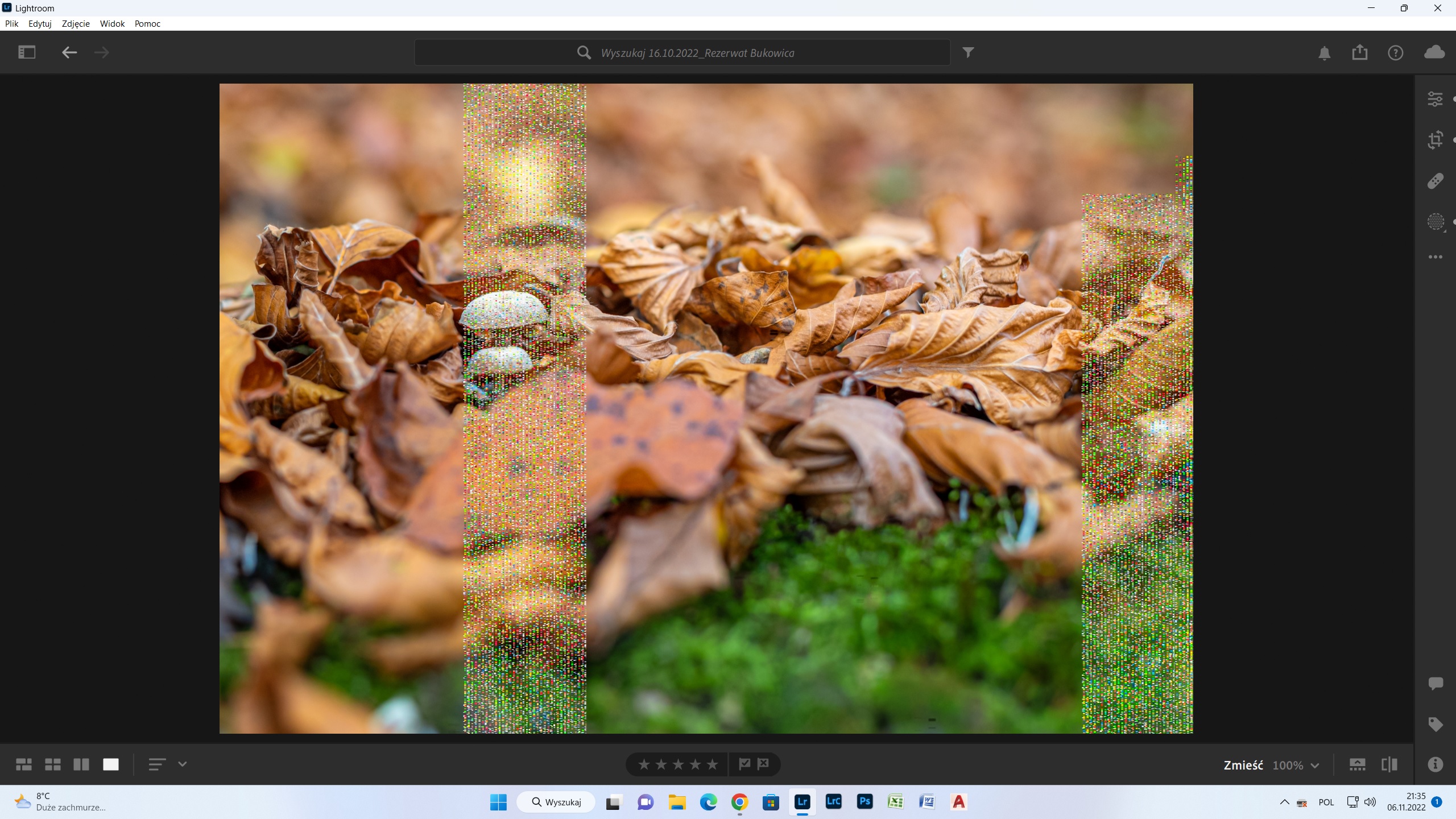 Unknown graphic issues on edited NEfs - Adobe Community - 13328590