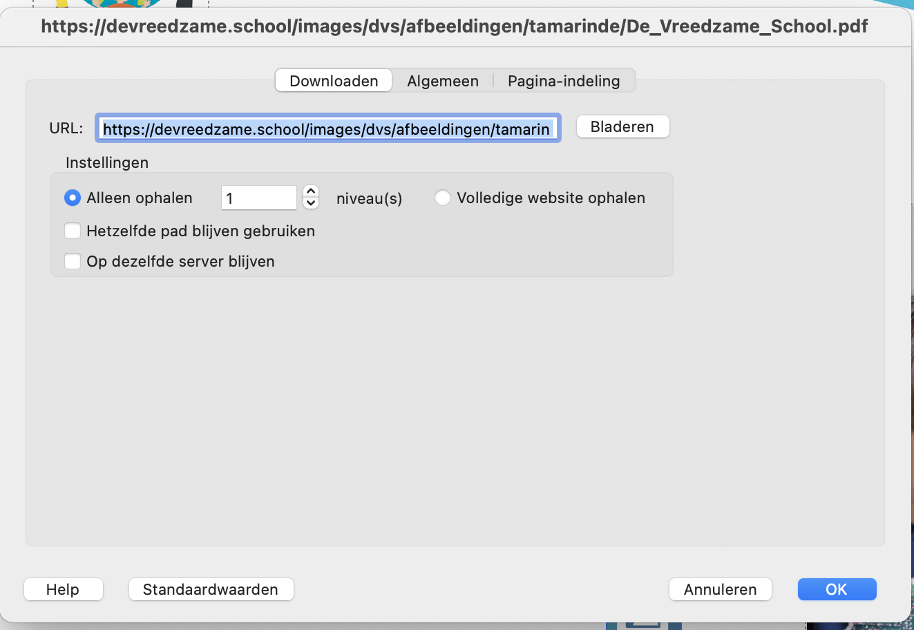 Hyperlink that opens in a new window - Adobe Product Community - 13329641