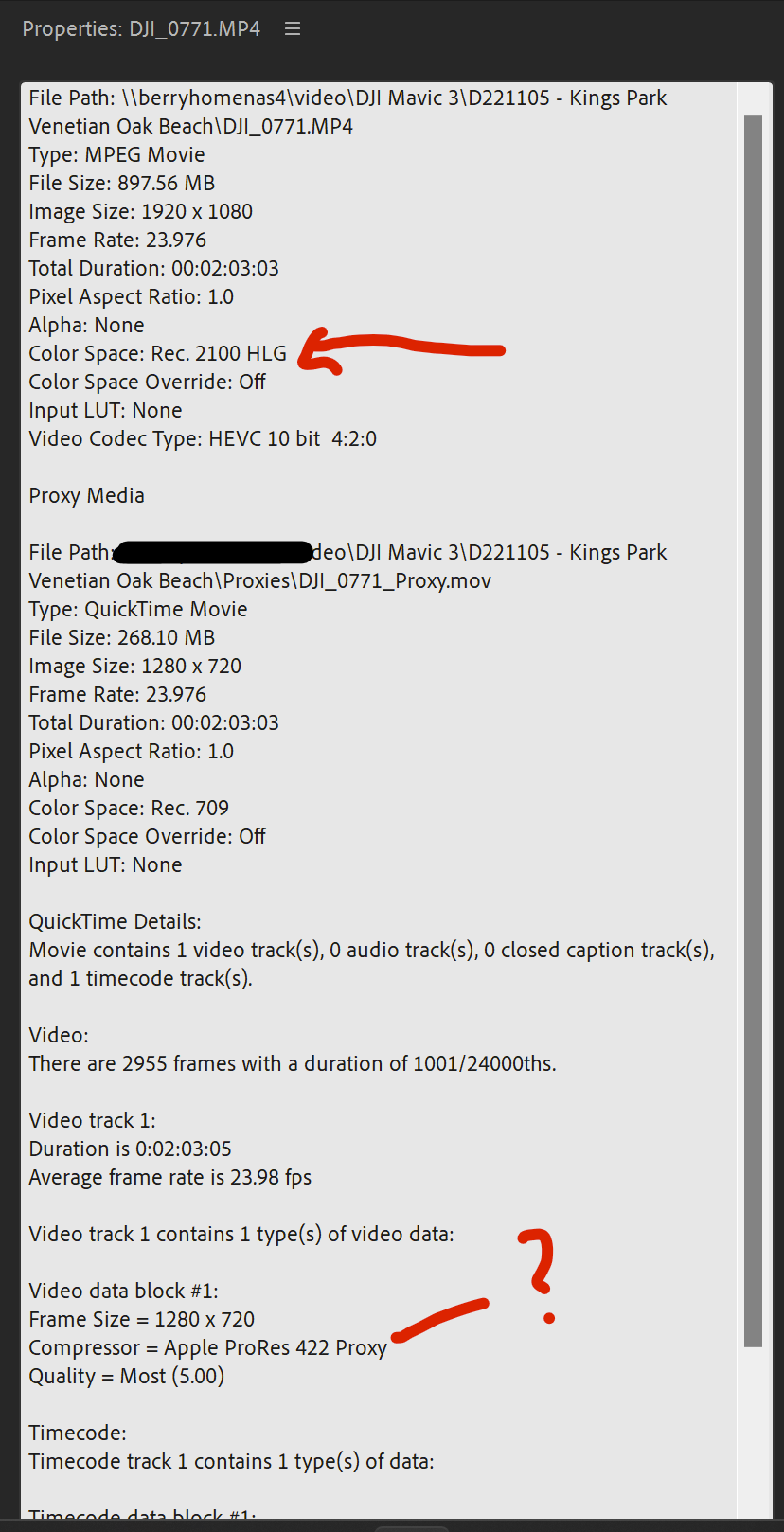 Solved: Rendering Is Leaving out Basic Lumetri Color Adjus... - Adobe Product Community - 13352976