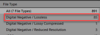 Solved: How to check if DNG is lossy or not? - Adobe Product Community ...