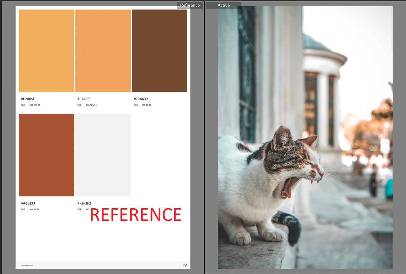 Color matching - Adobe Community - 13366848