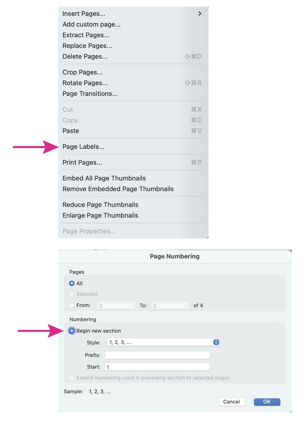 Help with renumbering pages - Adobe Product Community - 13383753