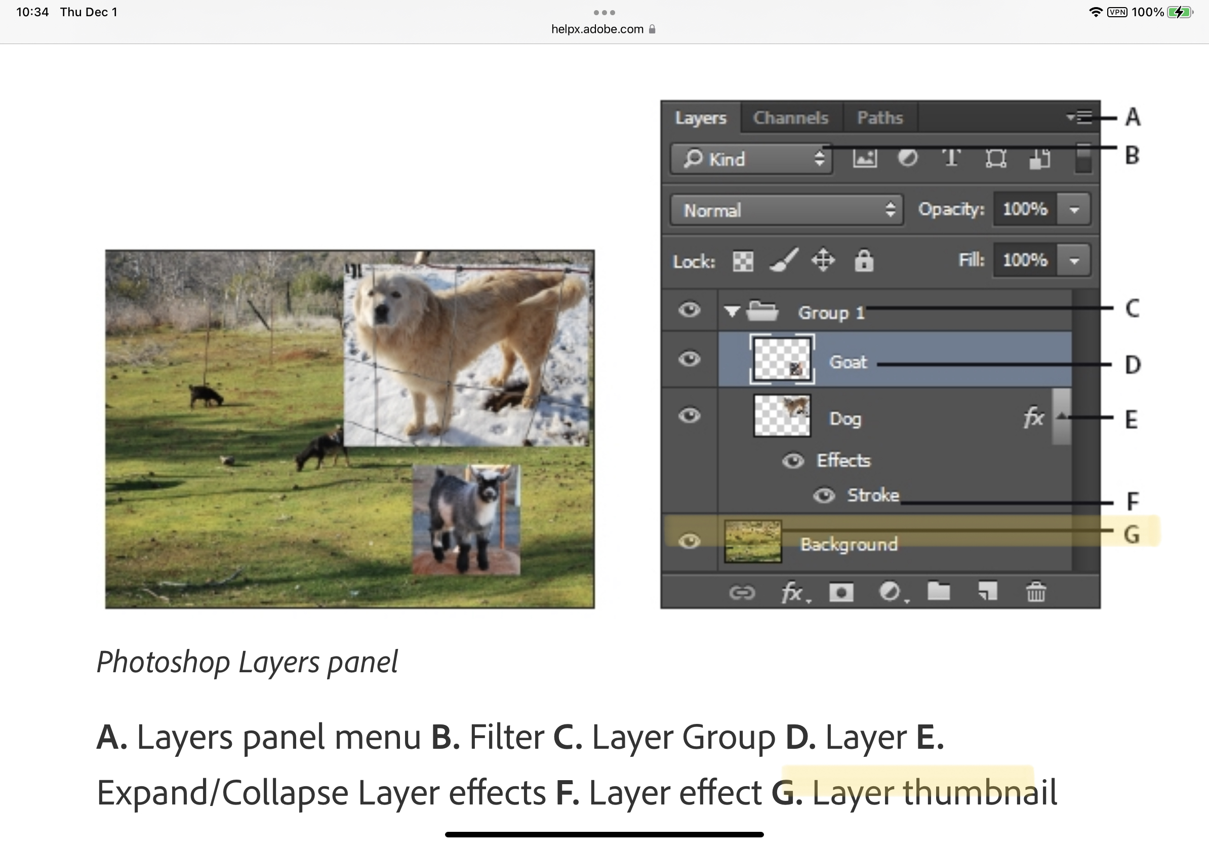 photoshop vector mask - Adobe Product Community - 13366930