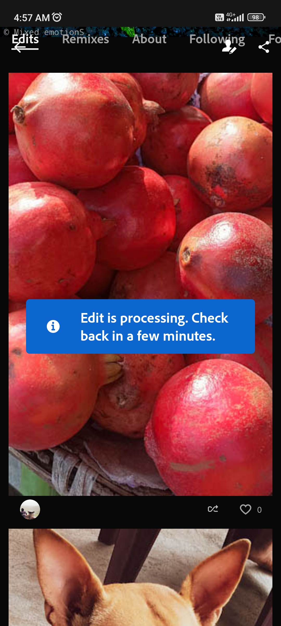 P: Discover Feed - Unable to Post - Edits are stil... - Adobe Product ...