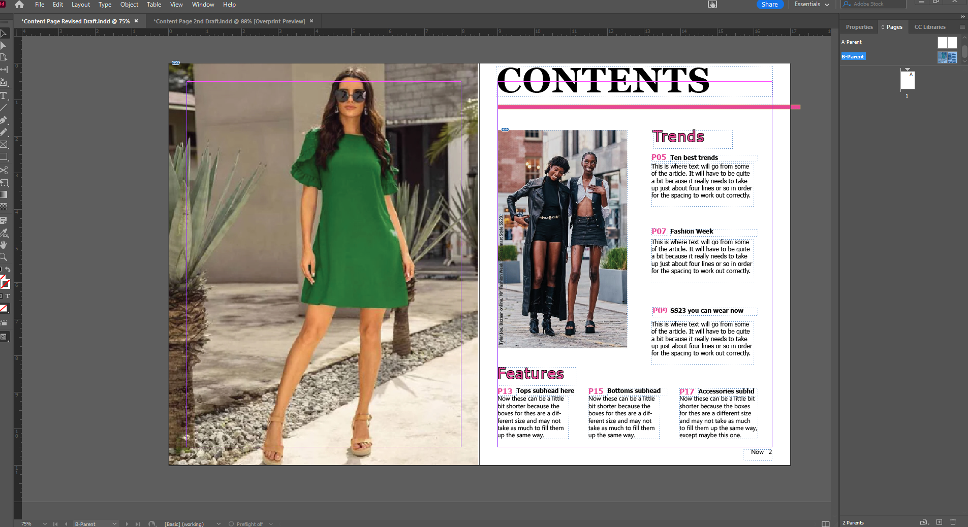 Solved: Exporting my indesign document to pdf shows blank? - Adobe ...