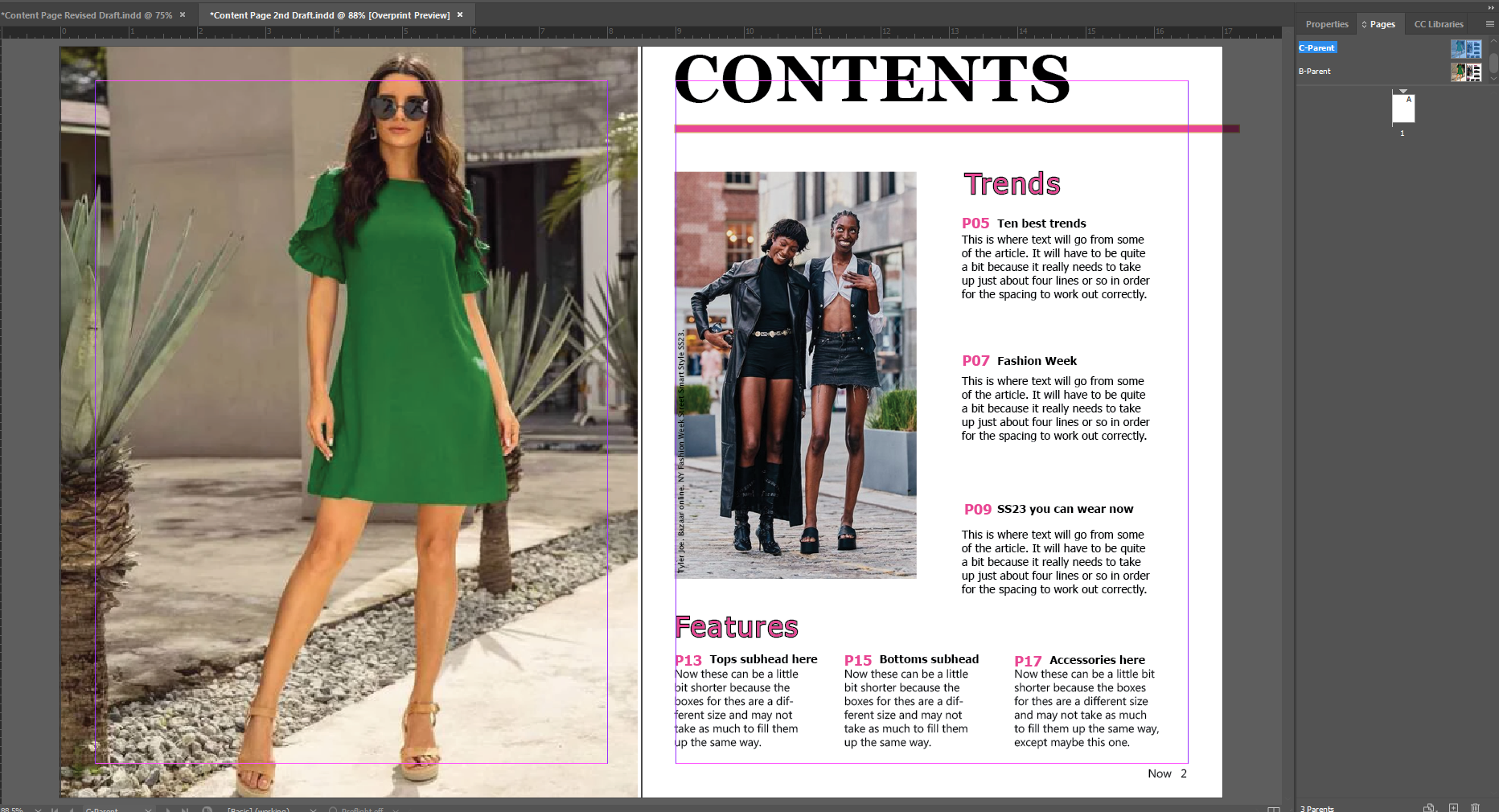 Solved: Exporting my indesign document to pdf shows blank? - Adobe ...